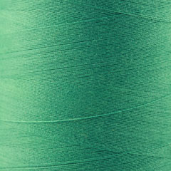 The Right Loop Thread / Texturized Polyester - M.Recht Accessories